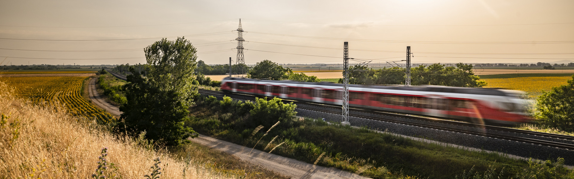Pest vármegye | Vármegyebérlet